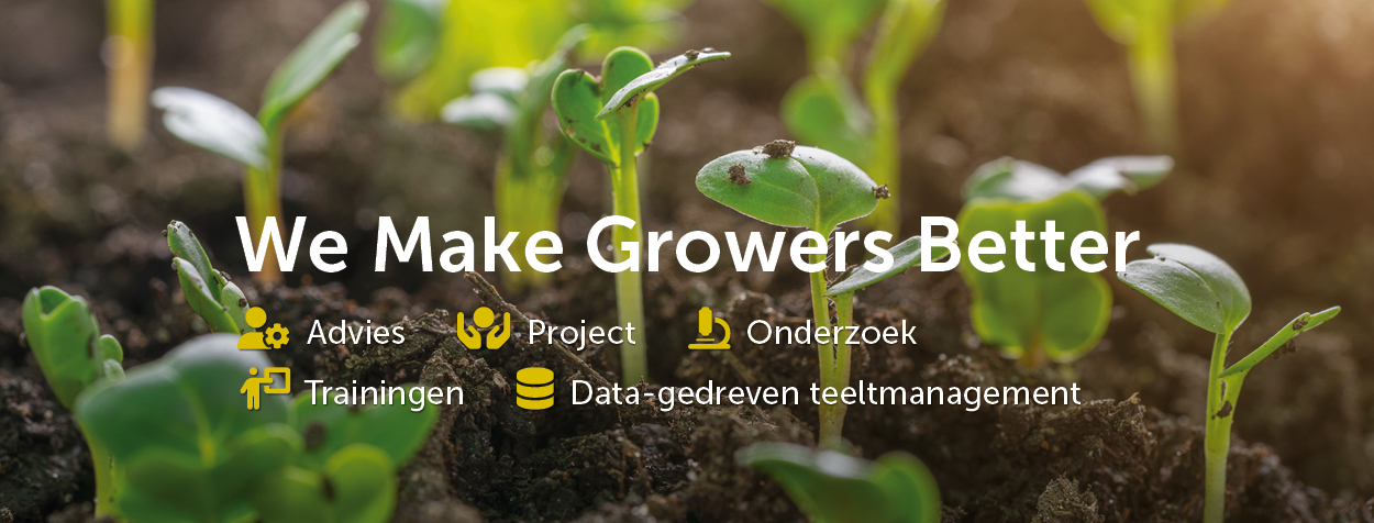 Over Delphy - Werken bij Delphy